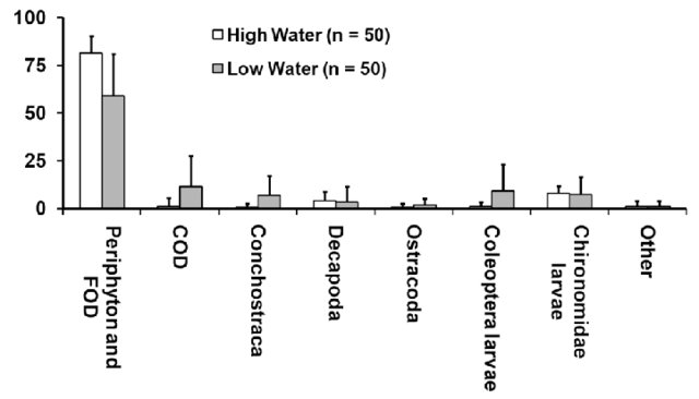 The Natural Diet of Discus, Symphysodon spp. | The Scientific Fishkeeper