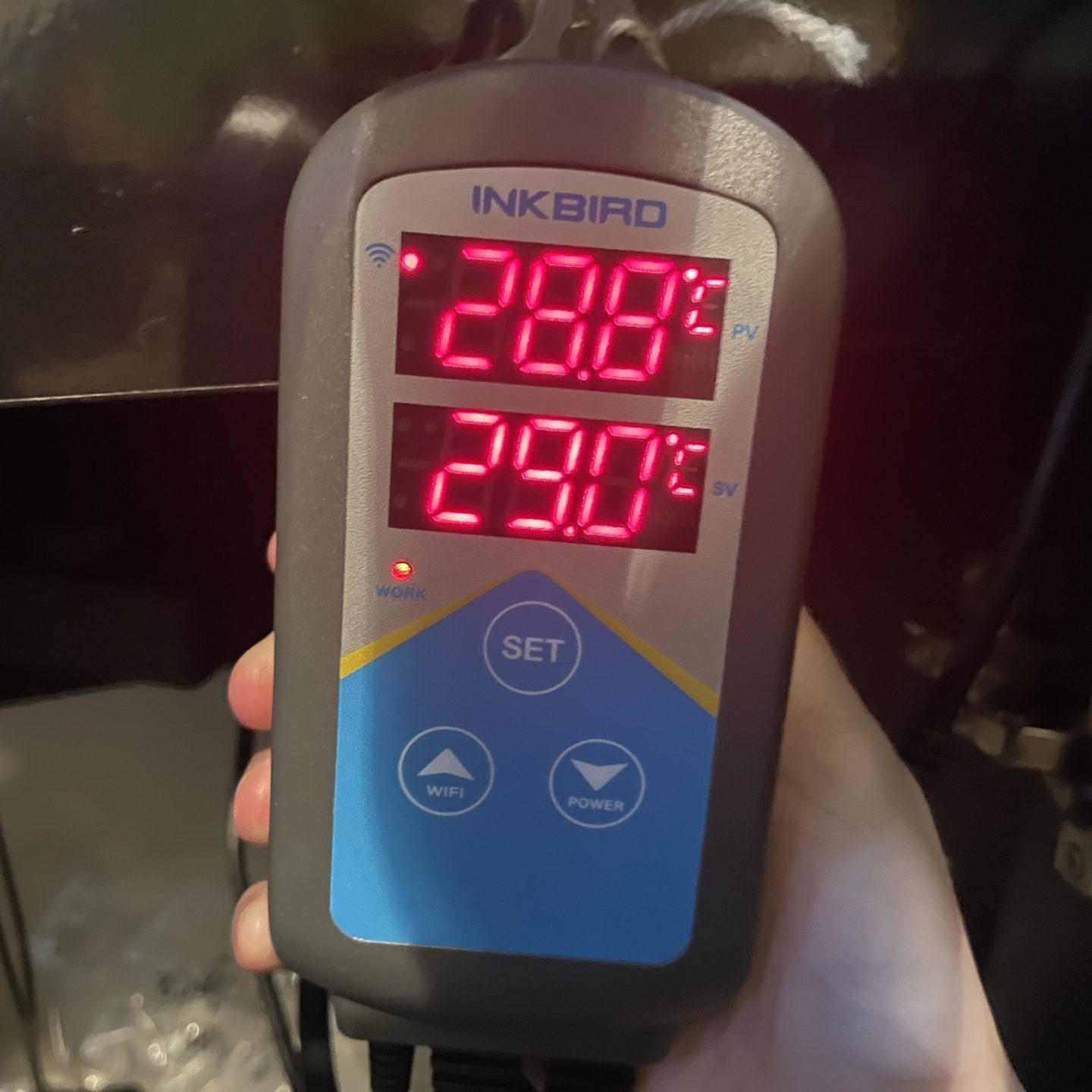 INKBIRD 306A Review and Setup | The Scientific Fishkeeper